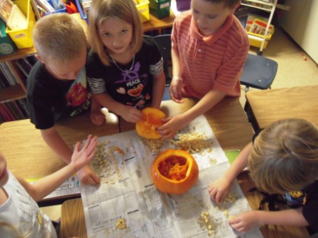 Our Pumpkin Investigations
